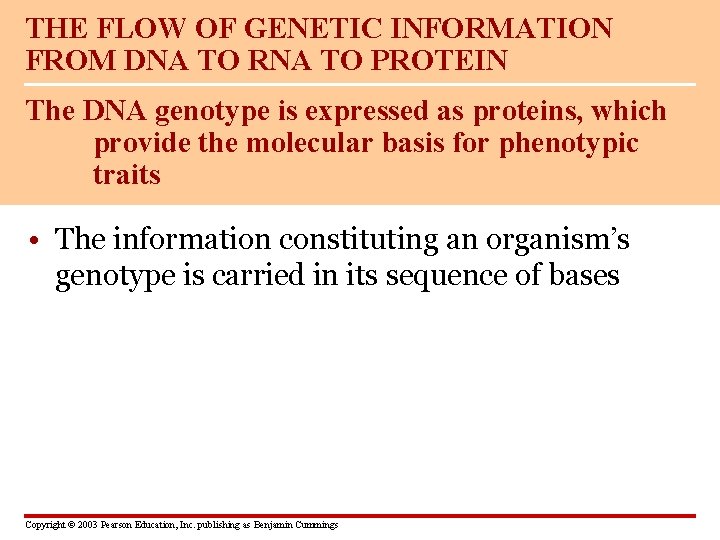 THE FLOW OF GENETIC INFORMATION FROM DNA TO