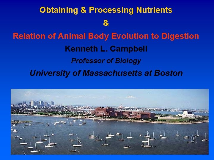 Obtaining Processing Nutrients Relation of Animal Body Evolution