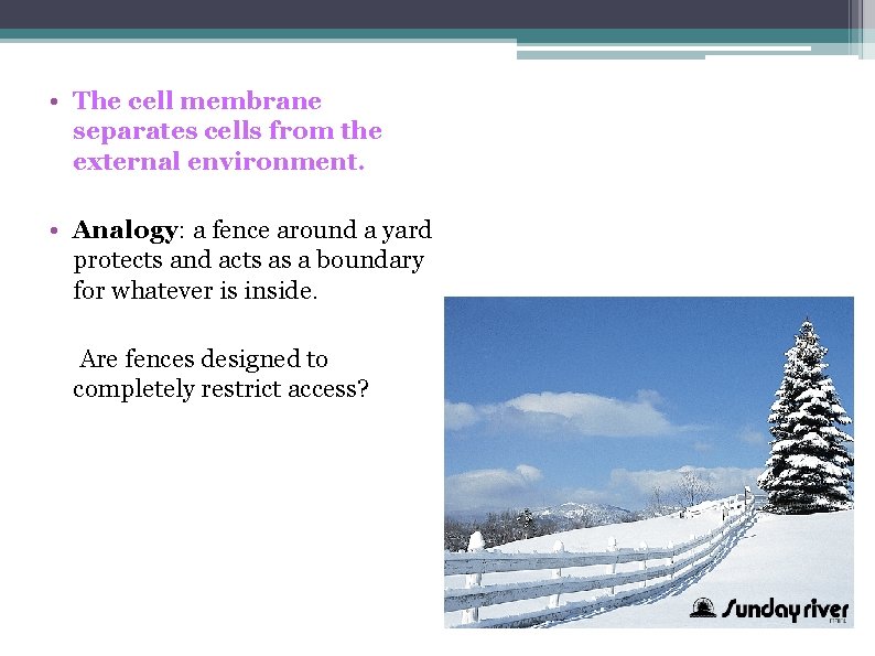 The Cell Plasma Membrane Biology 11 ALL Cells