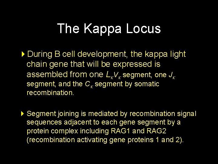 The Differentiation of Vertebrate Immune Cells 4 In