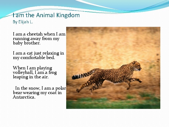 I am a Cheetah By Yolanda B I