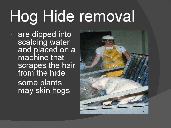 MEAT SLAUGHTER In the US there are over