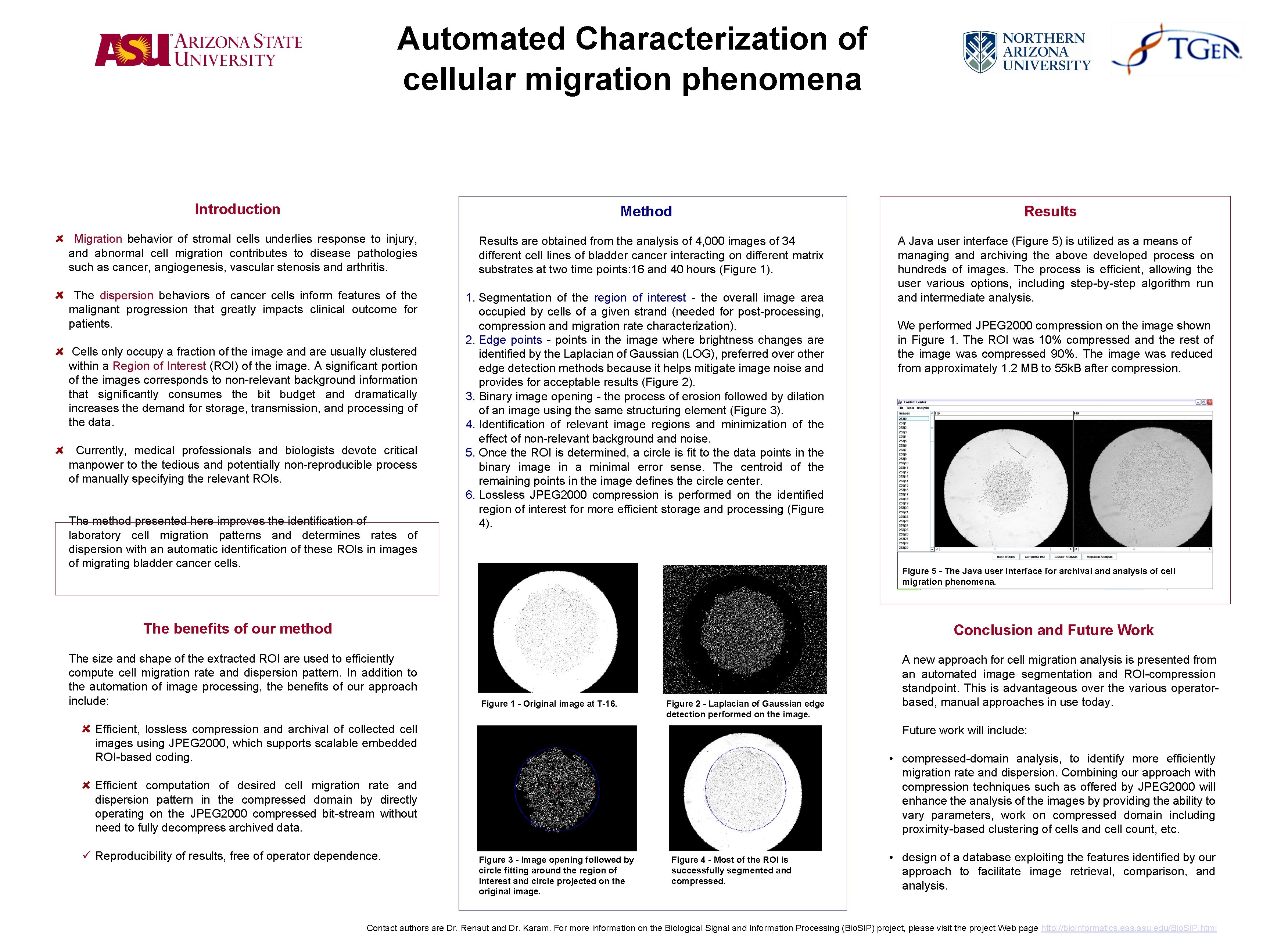 Automated Characterization of cellular migration phenomena Introduction ...
