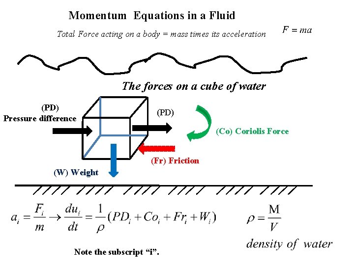 Momentum Equations in a Fluid Total Force acting