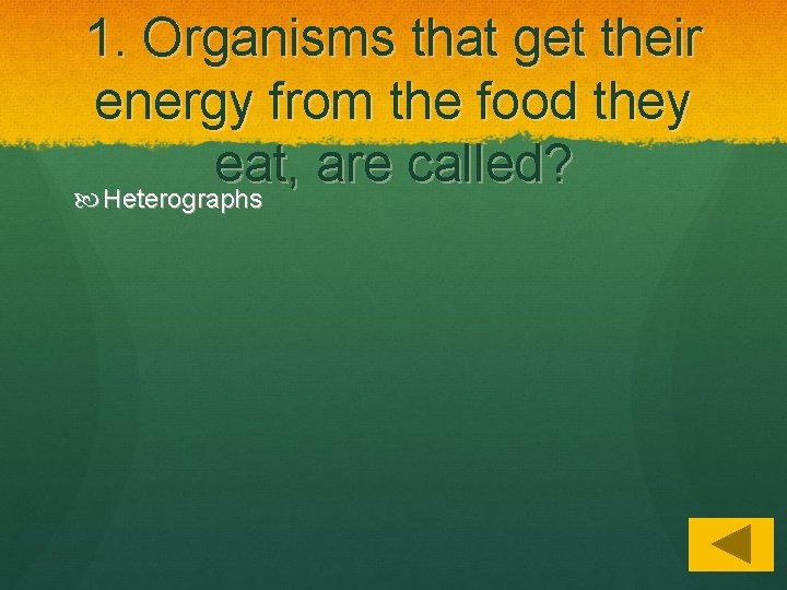 Photosynthesis How plants eat Grade 4 Heterograph vs