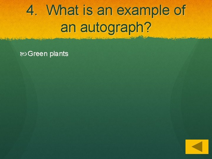 Photosynthesis How plants eat Grade 4 Heterograph vs