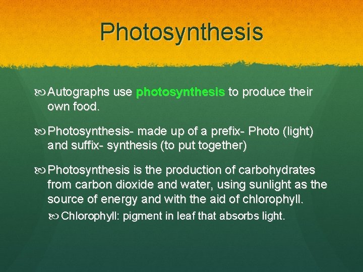 Photosynthesis How plants eat Grade 4 Heterograph vs