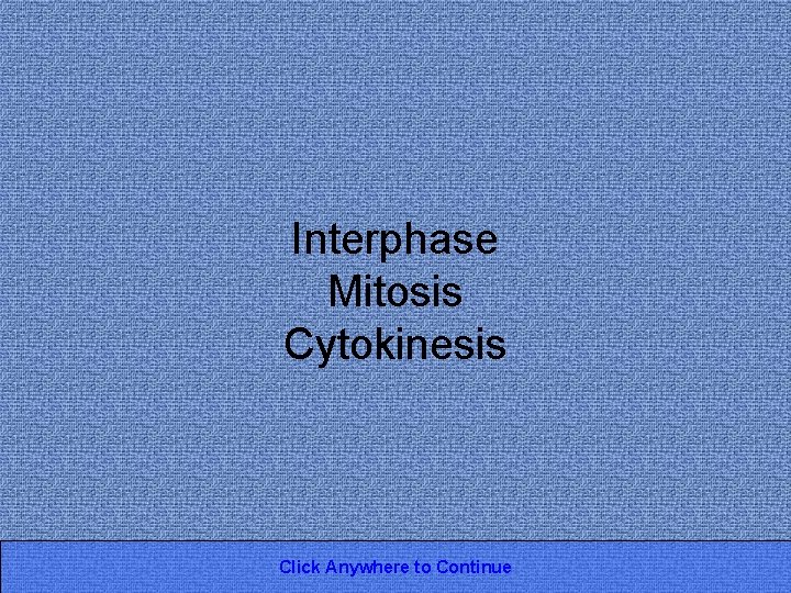 Mr Bartolones The Cell Cycle Cell Cycle Mitosis