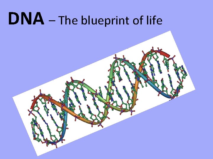 What is Genetics The study of how traits