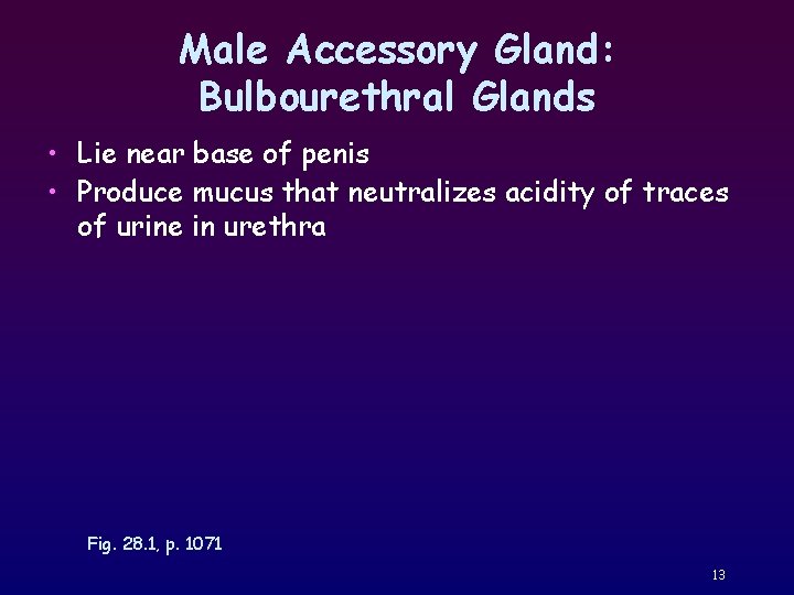 Biology 221 Anatomy Physiology II TOPIC 12 Reproductive