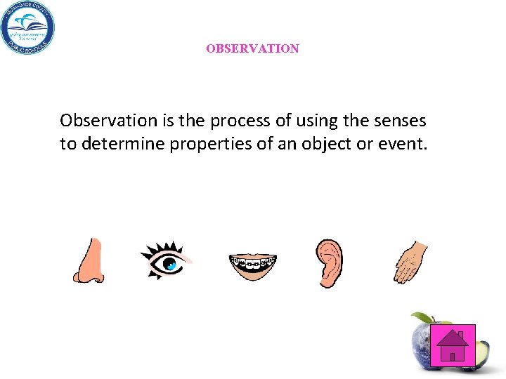 Grade 6 Nature of Science Big Idea 1