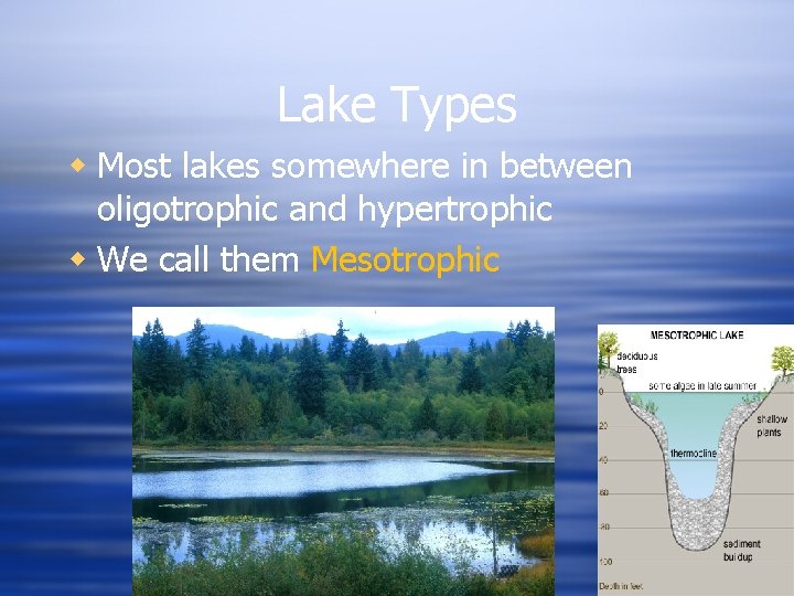 Freshwater Ecosystems Ch 6 part 2 Freshwater ecosystems
