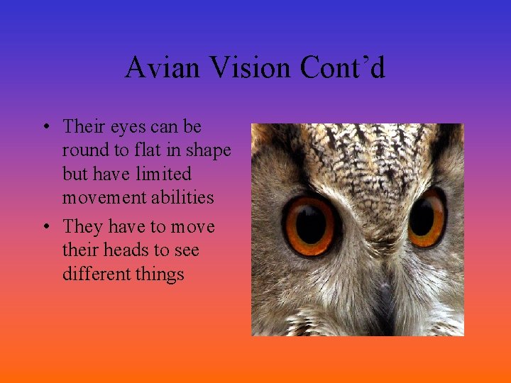 Ornithology Communication Unit Avian Senses Birds have highly