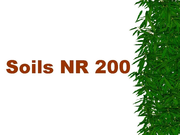 Soils NR 200 Unit 1 The Soils Around