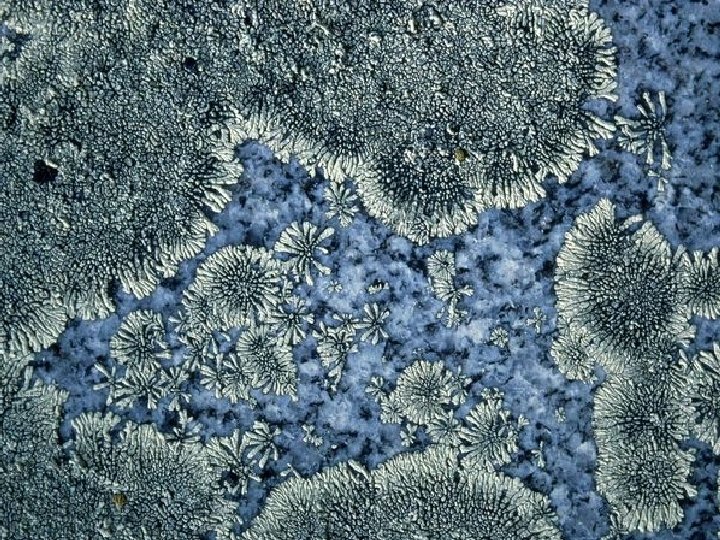 Chemical Weathering CHEMICAL WEATHERING Process by which rocks