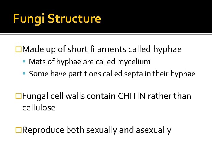 Fungi What are Fungi Characteristics Eukaryotic Nonphotosynthetic organisms