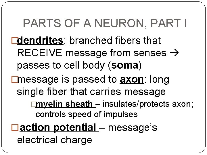 THE NERVOUS SYSTEM DEFINITION the bodys communicator electrical