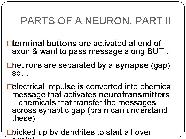 THE NERVOUS SYSTEM DEFINITION the bodys communicator electrical