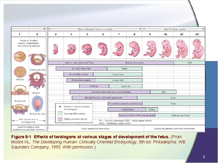 Drug Therapy During Pregnancy and BreastFeeding 1 Clinical