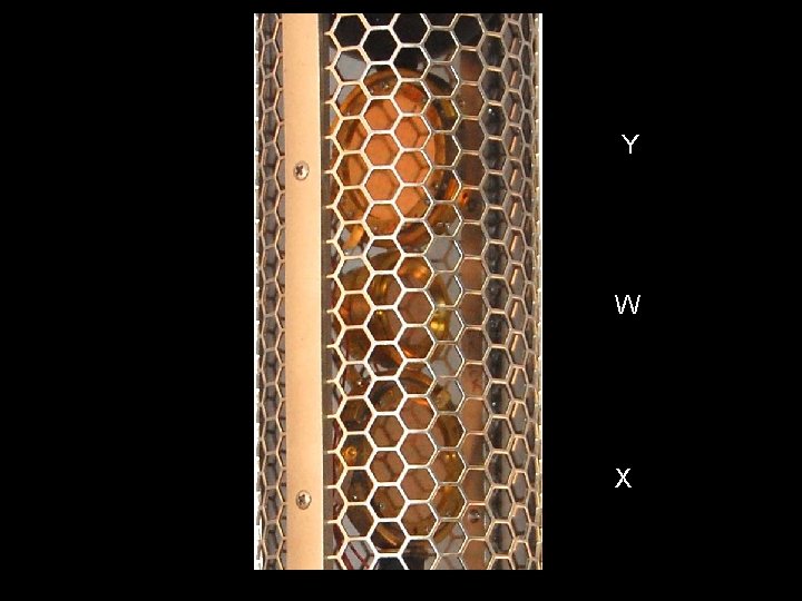 Using Pressure and Gradient to Derive Microphone Patterns