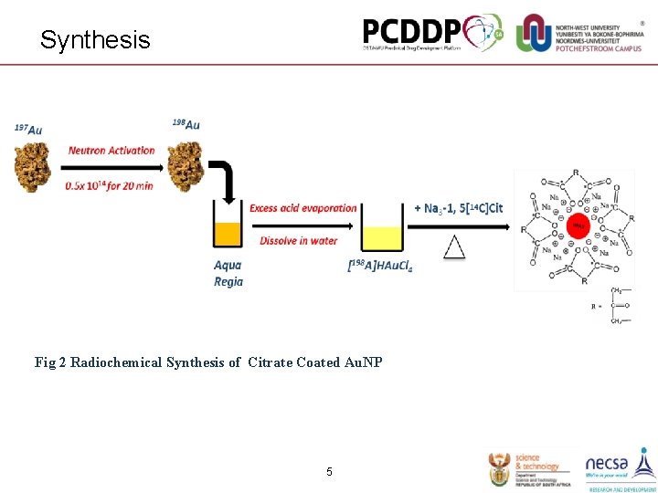 Assessment of the Biodistribution and Acute Toxicity of