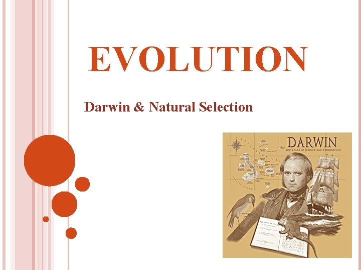EVOLUTION Darwin Natural Selection BROAD CONCEPT Evolution is