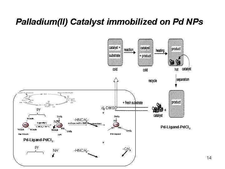 Synthesis of Pd Nanoparticles Supported PdII Complexes and
