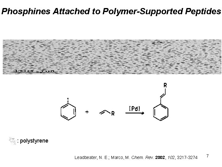 Synthesis of Pd Nanoparticles Supported PdII Complexes and