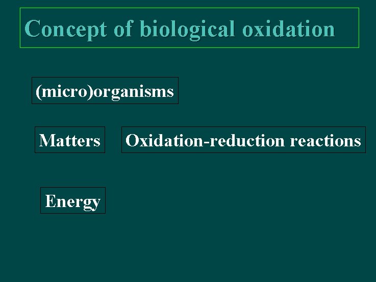 Chapter 7 Microbial Metabolism FFY CONTENT An Overview