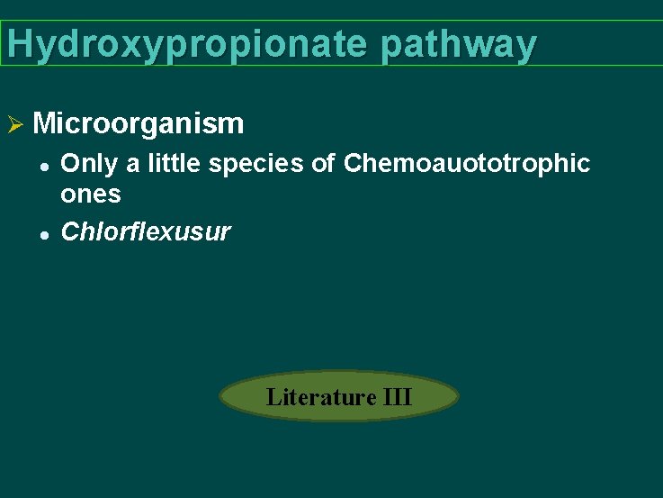 Chapter 7 Microbial Metabolism FFY CONTENT An Overview