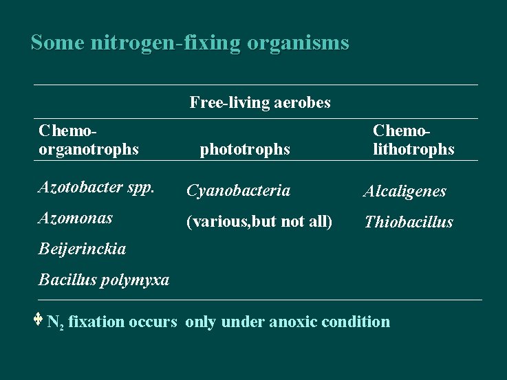 Chapter 7 Microbial Metabolism FFY CONTENT An Overview