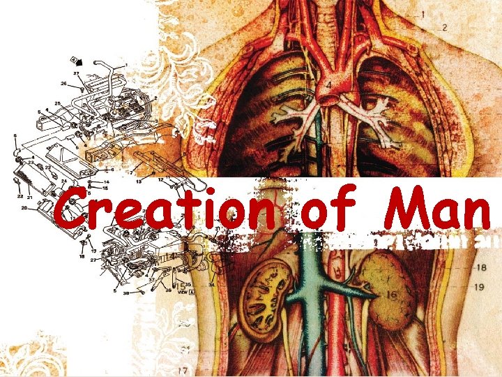 Creation of Man Arrival on earth Out of