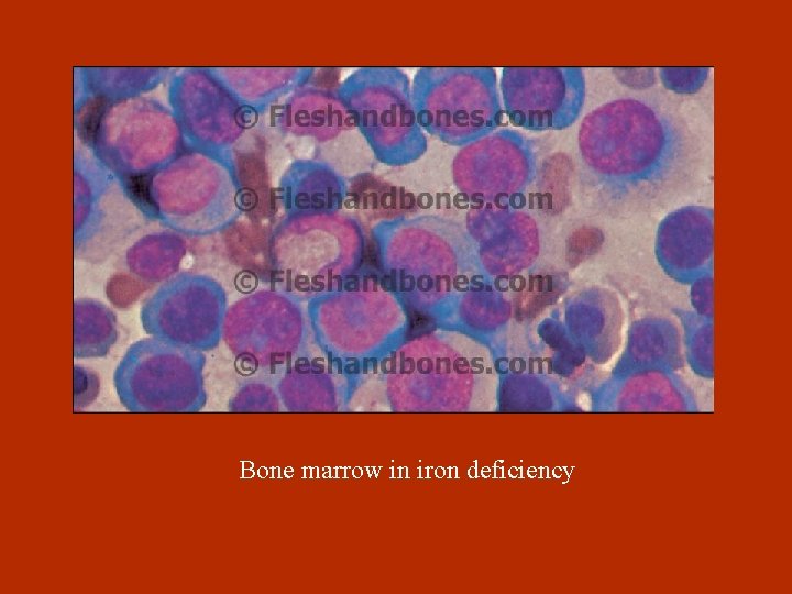 ANAEMIA The main function of the red blood