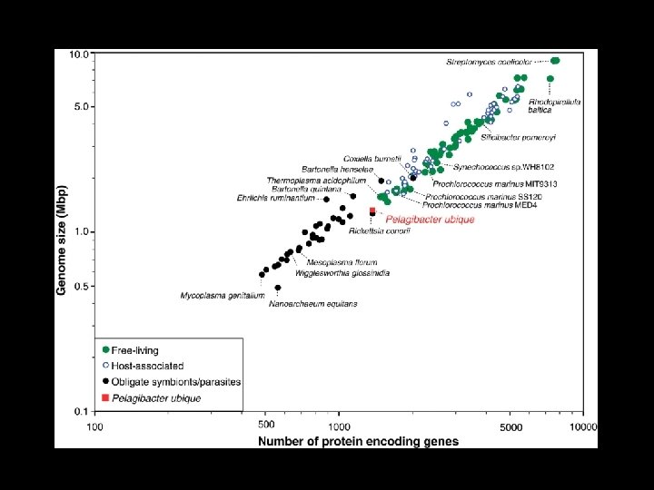 Bacterial genome plasticity and integrons Didier Mazel Unit