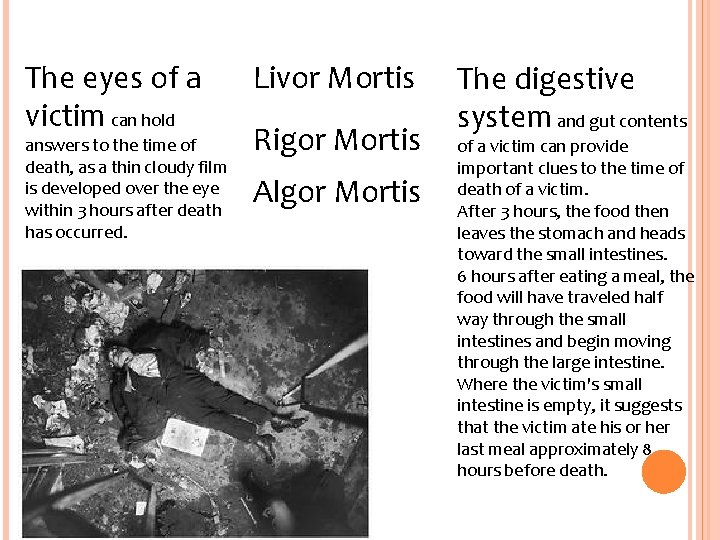 How do forensic scientists determine the time of