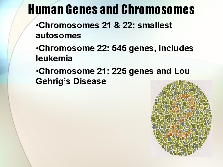 Human Chromosomes Interesting Facts Only about 2 of