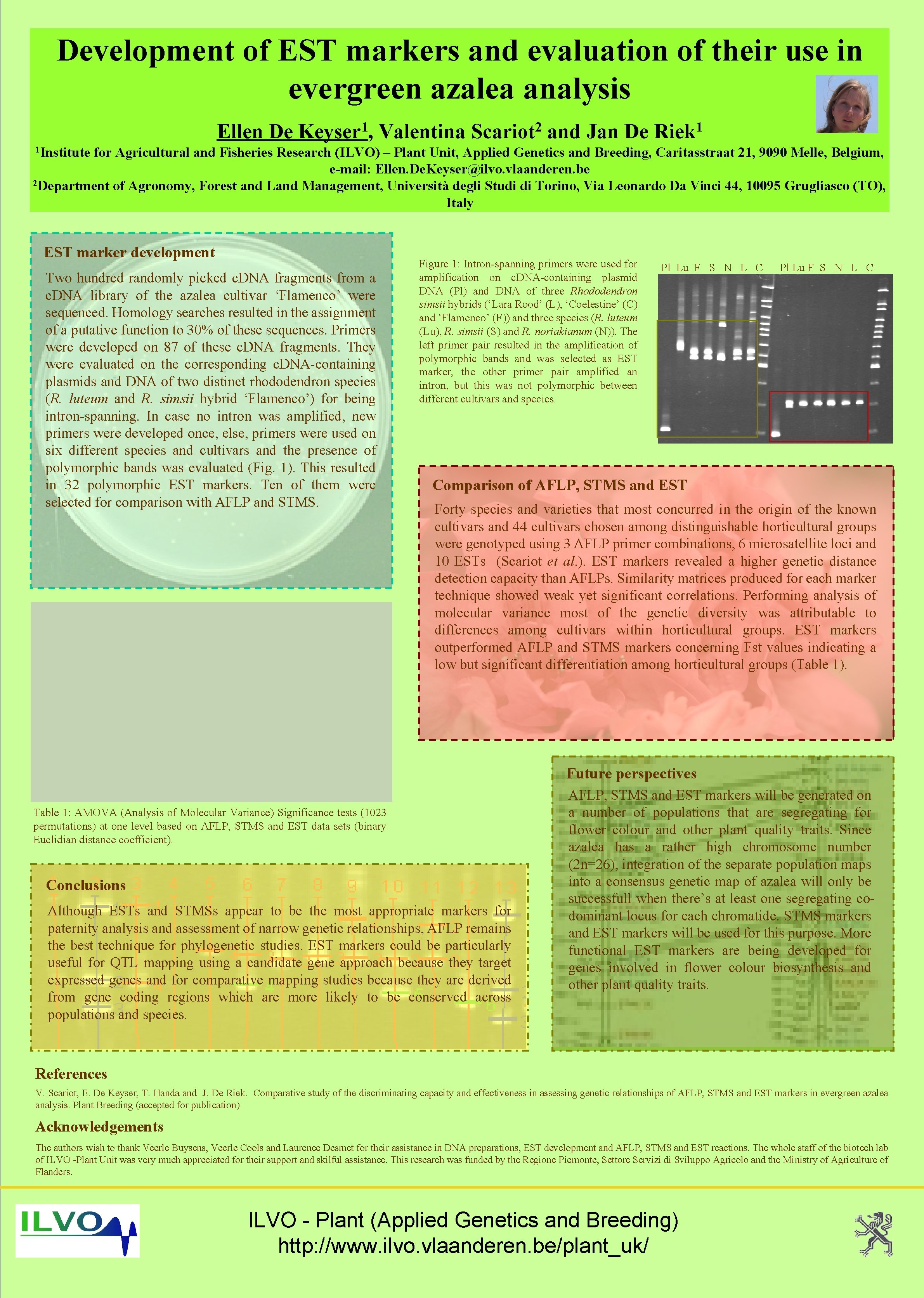 Development of EST markers and evaluation of their