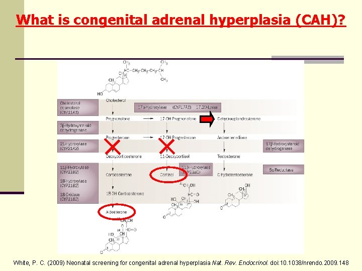 Screening for hypotyreosis and congenital adrenal hyperplasia CAH
