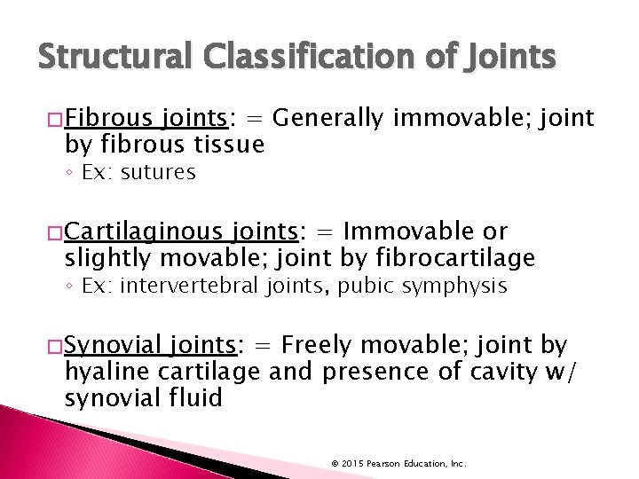 Joints and Developmental Aspects of the Human Skeleton
