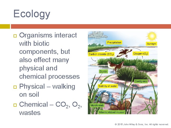 3 Ecosystems and Energy Overview of Chapter 3