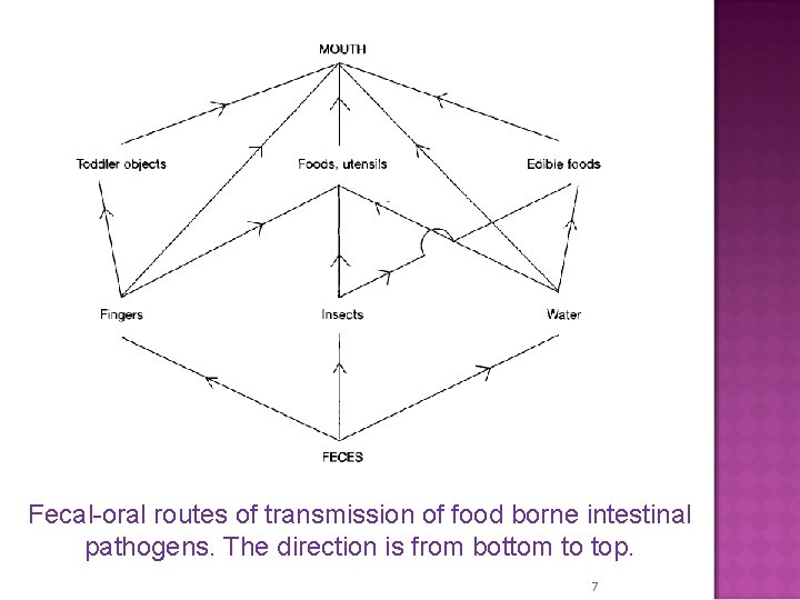 FoodBorne Infections and Intoxications 1 Food infections are