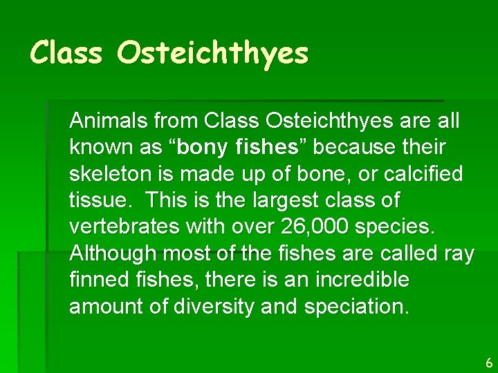 Phylum Chordata Classification of Animals MS LEE Class