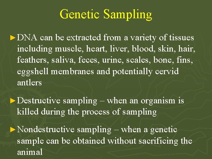 CONSERVATION GENETICS AND MOLECULAR ECOLOGY IN WILDLIFE MANAGEMENT