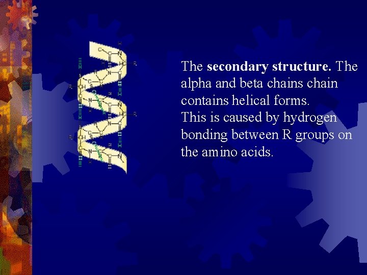 Diabetes Revision of protein structure and the importance