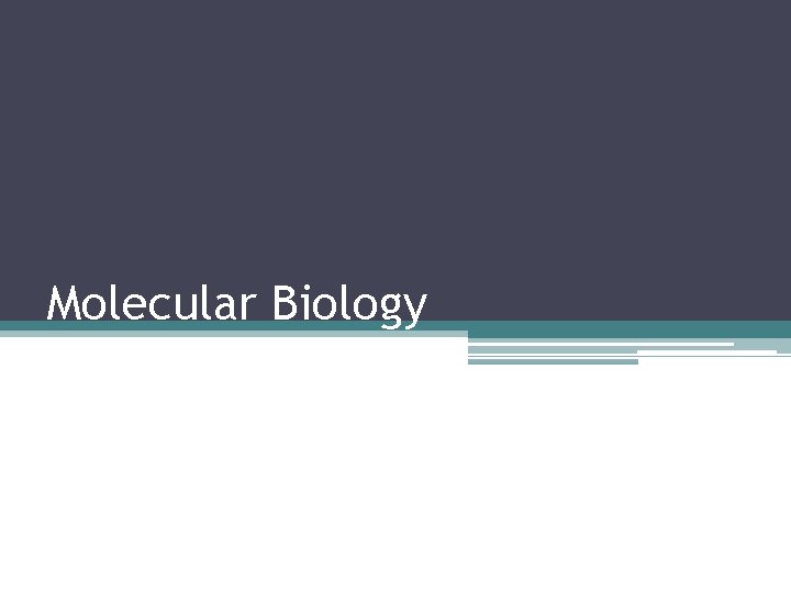 Molecular Biology Molecular Biology The study of DNA