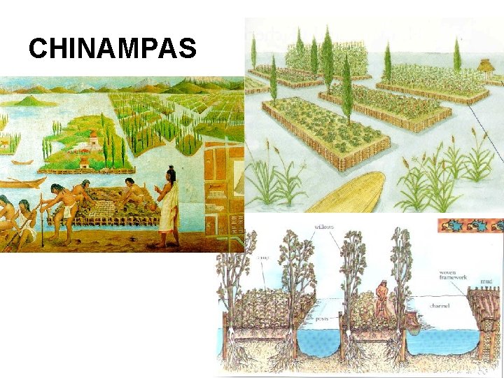 UNIT 3 CHAPTER 16 PEOPLE AND EMPIRES IN