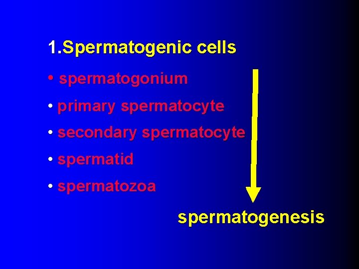 Reproductive system l Male reproductive system l Female