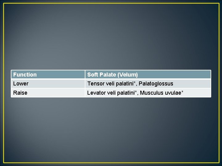 Articulation Lecture 12 Function Lip Labial Muscles Pucker