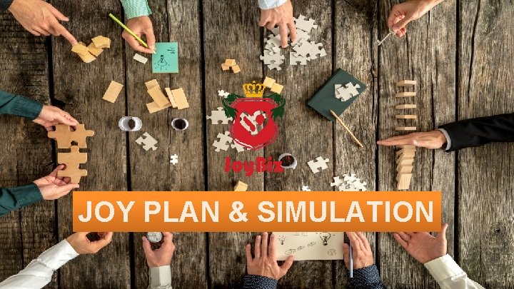 JOY PLAN SIMULATION TRIPLE PLAN Start Up Plan
