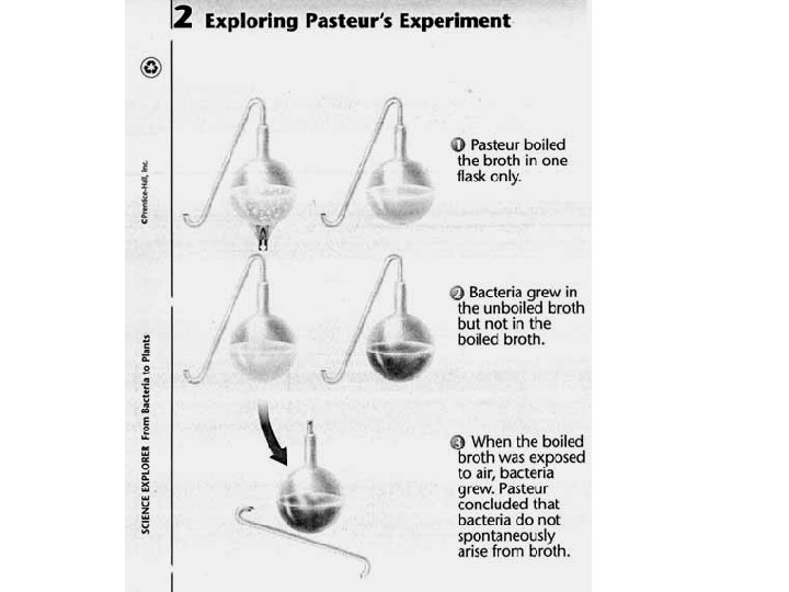 Chapter 14 Origin of Life Pasteurs Experiment Theories